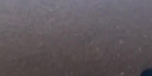 Caught Public Male Solo Big Cock Edging
