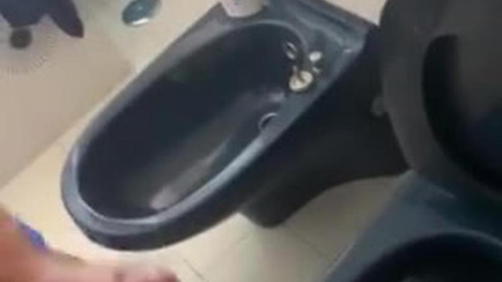 Fammi Una Sega Svuotami I Coglioni Che Ho Voglia