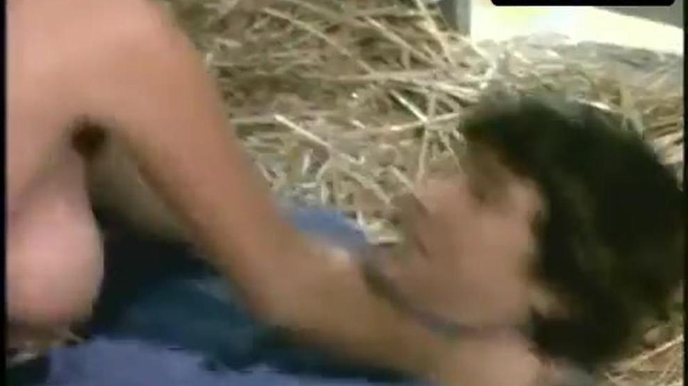 Uschi Digard Breasts Butt Scene In Supervixens