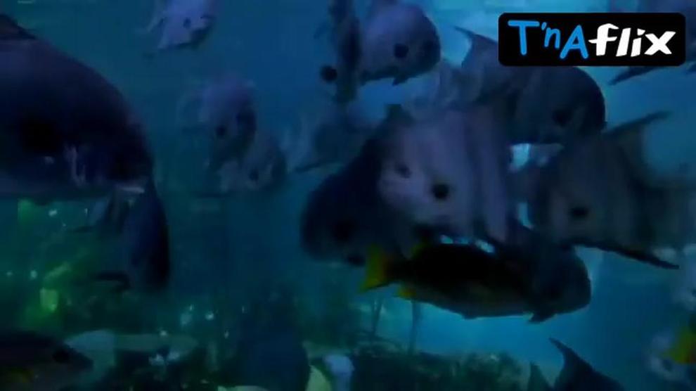 Amanda Bynes Bikini Scene In Love Wrecked